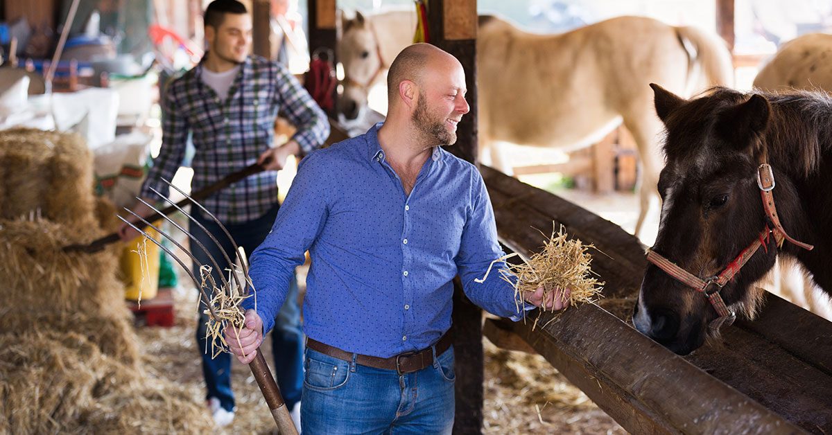 Hobby Farm Insurance Australia | SUREWiSE